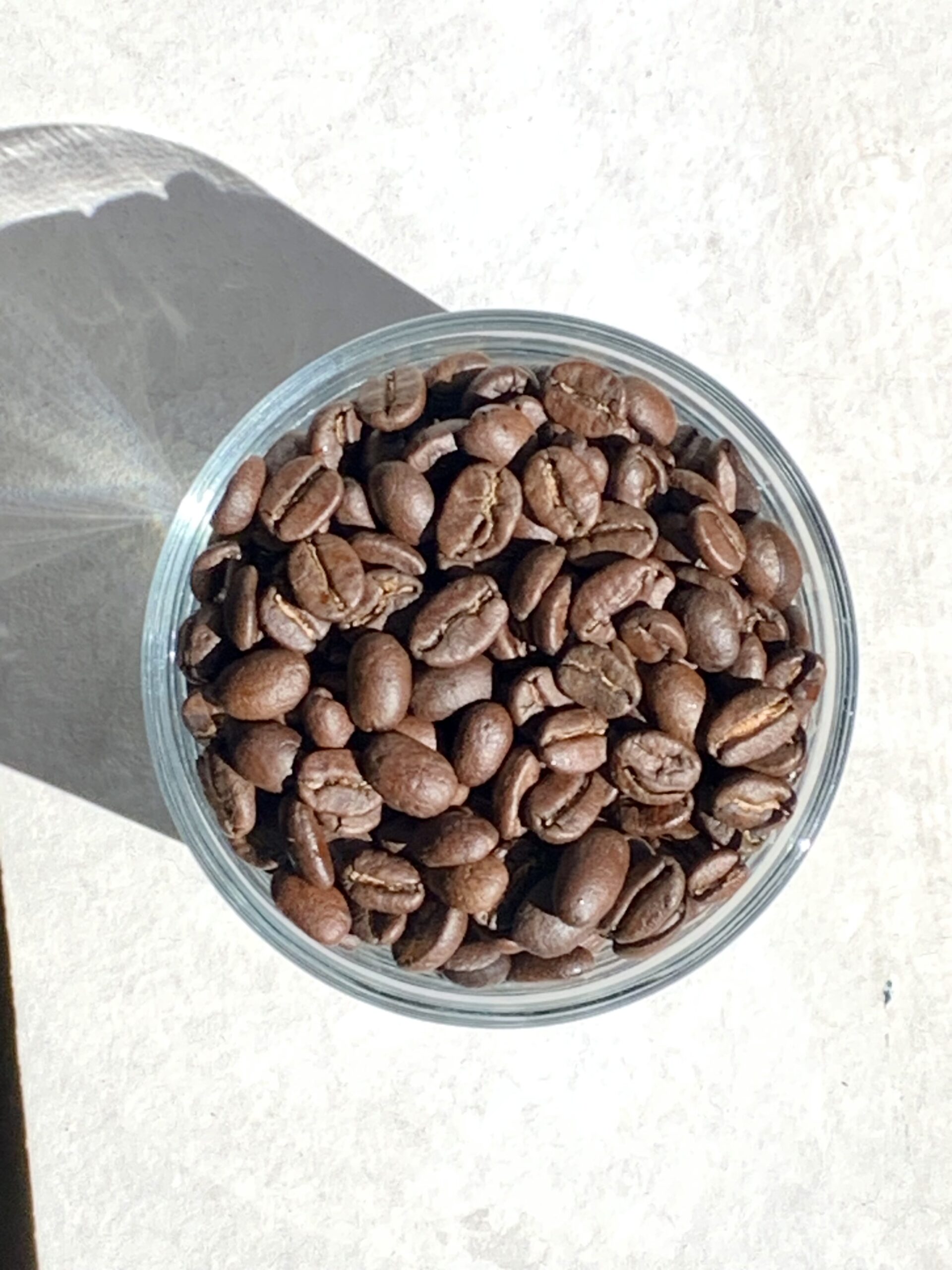 枚方カフェ｜Indigo Coffee Roasters ｜インディゴコーヒーロースターズ